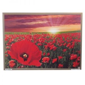 10 Cele Mai Populare Panouri Radiante [Ieftine Si Bune]