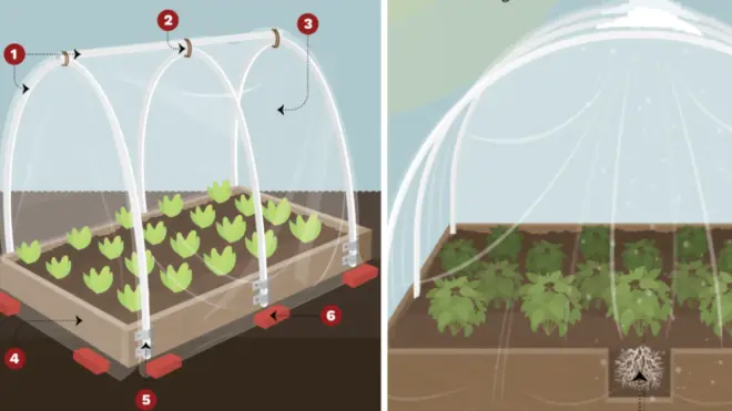 Solar De Gradina [Schita Solar] Cum Construiesc Un Solar De Legume?